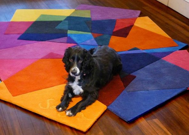 After Matisse Rug | Sonya Winner