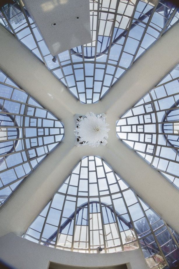 Huge Lotus Building by Studio505