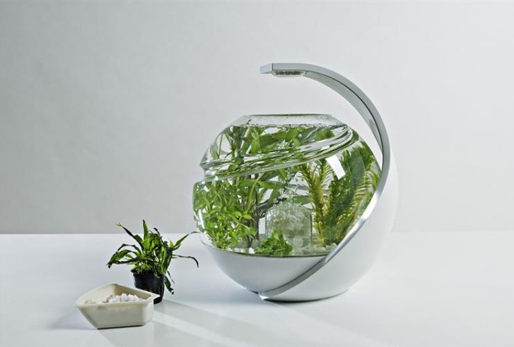 Avo Self Cleaning Fish Tank Design by Susan Shelley