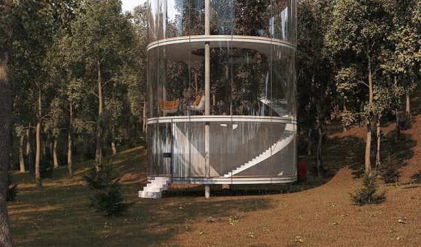Tree in the House - A Modern Tree House Design by A.Masow