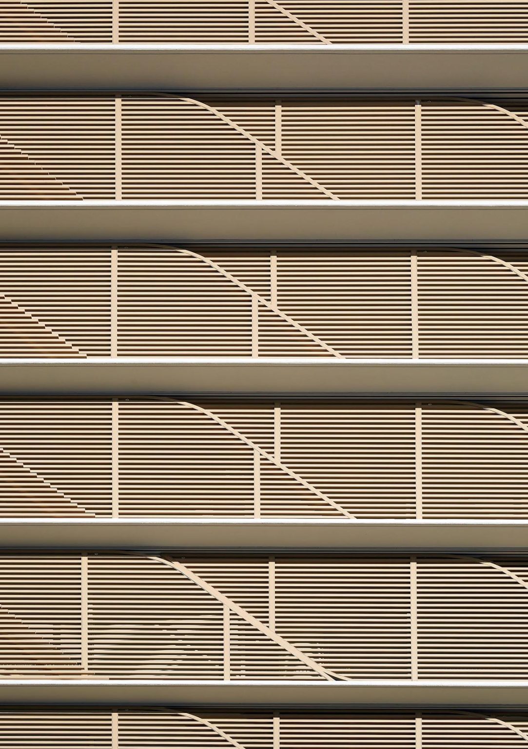 Norfolk - Sculptural Apartments Building Design Inspired By Pine Trees